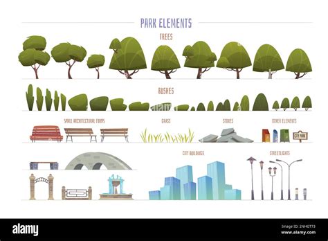 City Park Elements Cartoon Set Of Summer Trees Bushes Benches Street