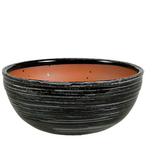 Чиотола Черна