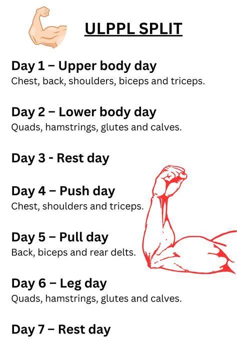 Best 13 5 Day Pplul Split Push Pull Legs Upper Lower Artofit