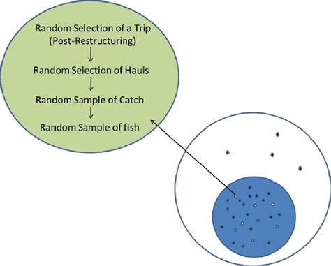 example of hierarchical sampling on an observed trip the blue colored