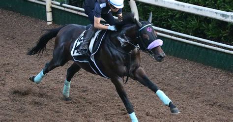 【中京記念 ズバッと！言いたい放題】小倉巧者ダブルシャープ仕上がり サンスポzbat