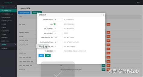 推荐一个图形化管理nginx配置的工具 nginxWebUI 知乎