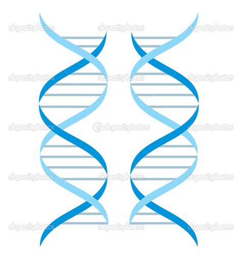 Dna Structure Quotes Quotesgram