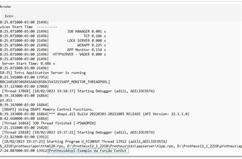 Console Log Protheusadvpl