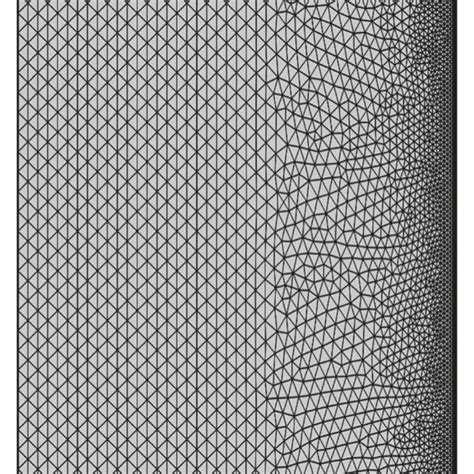 Meshing Process Of The Geometry With The Number Of Elements A Normal