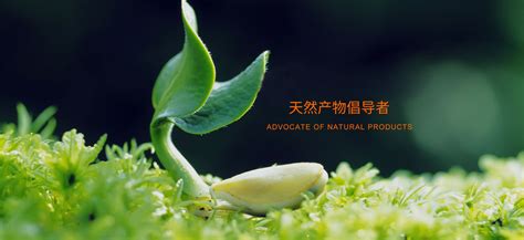陕西锦泰生物工程有限公司