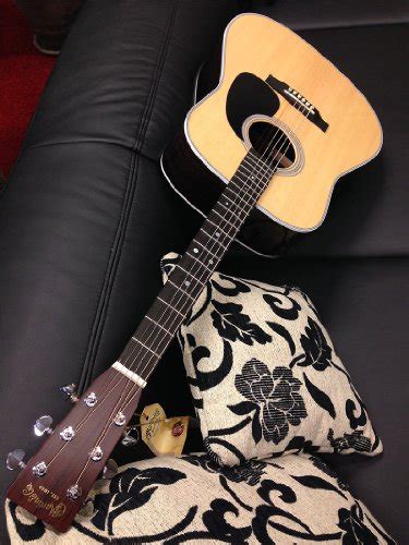 The 5 Best Bluegrass Guitars Reviews 2017