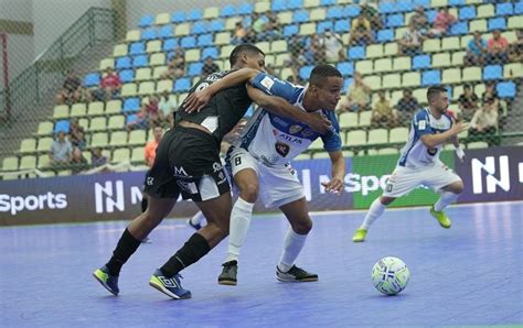 Pato Futsal Estreia Contra A Assoeva Na Liga Diário Do Sudoeste