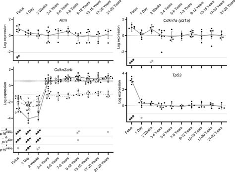 What Naked Mole Rats Can Tell Us About Gene Splicing Senescence And