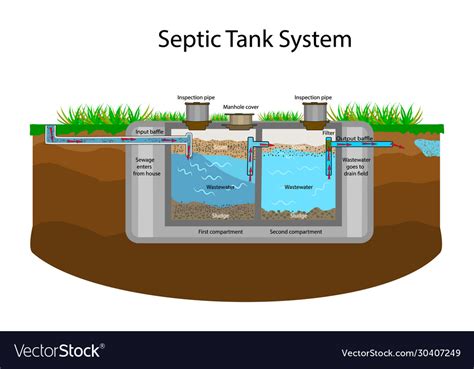 Septic Tank Diagram Royalty Free Vector Image VectorStock