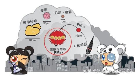 科普 一类致癌物空气污染PM2 5 知乎