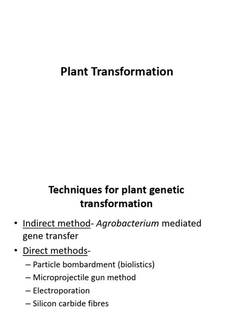 Plant Transformation Methods Pdf Cell Biology Biology