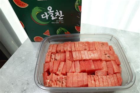 인터넷수박주문 추천 여름제철과일수박은 다올찬 맹동꿀수박 네이버 블로그