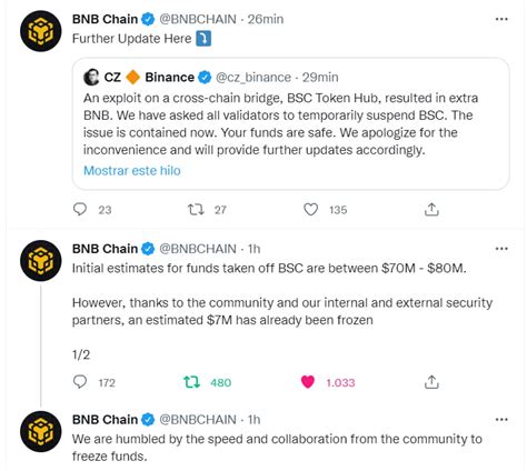 Chibiguardians On Binance Feed Our BSC Funds Are SAFU An Exploit On A