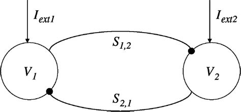 Coupled Neurons Diagram Two Spiking Neurons Are Connected With