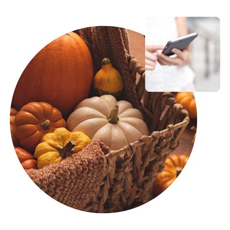 Seasonal Porchscapes Fall And Winter Porch Decor Delivery In Charlotte Nc