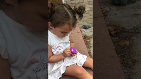 Ryans World Toy Youtube