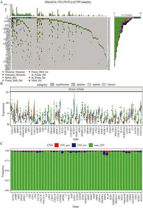 Somatic Mutation Profile And Copy Number Variation Cnv Analysis Of 47