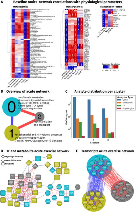 Molecular Profiling Of High Level Athlete Skeletal Muscle After Acute Endurance Or Resistance