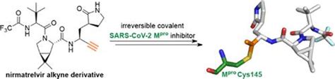 Sars Cov 2 主要蛋白酶抑制剂（包括 Nirmatrelvir）的炔衍生物通过与亲核半胱氨酸共价反应进行抑制 Journal Of