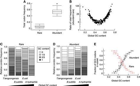 Rare And Abundant Codons A Rare And Abundant Codons Were Defined For