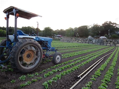 Pride And Produce At Wilson Farm Your Travel Cap