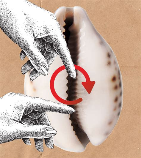 Of Je Nu 15 Of 65 Bent Het Is Nooit Te Laat Om Te Leren Masturberen