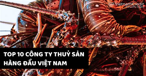Top công ty sản xuất đường mía lớn nhất Việt Nam Alltop vn All top
