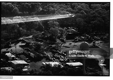North American Gypsy Moth Photos And Premium High Res Pictures Getty