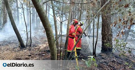 Cabildos Proactive Strategy To Mitigate Forest Fire Hazards