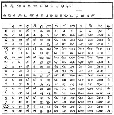 Tamil Alphabet தமிழ் அரிச்சுவடி දෙමළ හෝඩිය Adsayam Tamil News