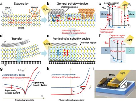Design Of High‐performance 2d Photovoltaic Devices A Fabrication Of Download Scientific