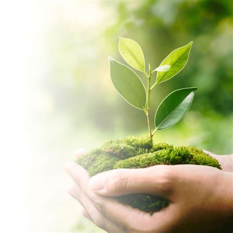 environmental