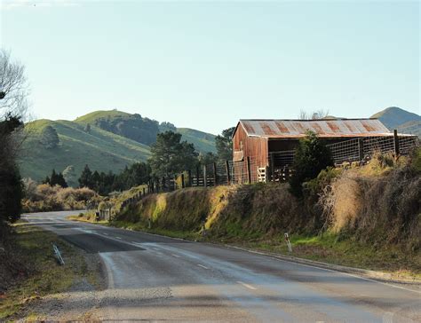 Elevation Of Te Puke New Zealand Maplogs