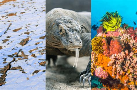 The Microbiome - Science Friday