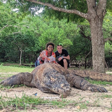 Visiting Komodo National Park What You Can Expect Live Self Happy