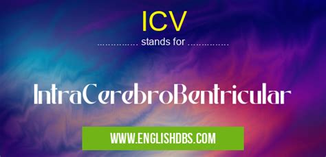 I C V What Does Icv Mean In Medicalintracerebrobentricular