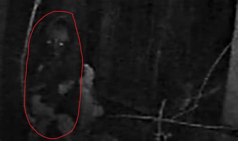 Rmso Bigfoot Eerie Humanoid Yowie Is Filmed After Triggering Game Camera