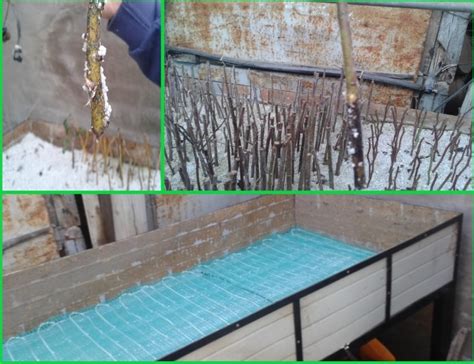 GitHub Topospec Arduino Greenhouse Automated Greenhouse With Arduino