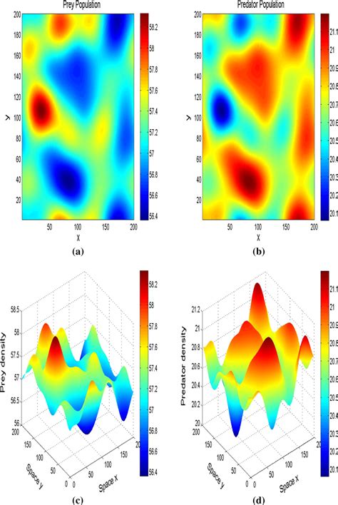 A B Snapshots Of Contour Pictures Of The Spatial Distributions Of Prey