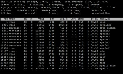 Tomcat Cant Increase Java Heap In Debian Server Fault