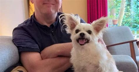 Marcel De Wit Presenteert Nieuw Boek Met Alledaagse En Herkenbare Verhalen Over Delft Delft