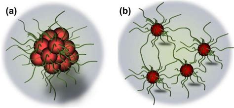 Schematic Drawing Of The A Condensed Colloidal Nanocrystal Cluster Download Scientific