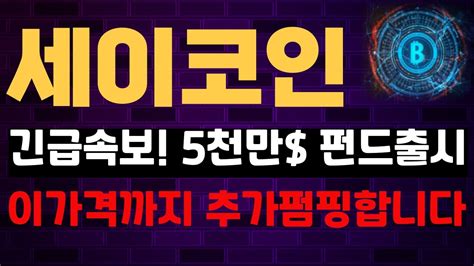 세이코인 💥긴급속보 5천만달러 펀드출시~이가격까지 추가펌핑합니다~매수타점과 목표가는~세이 코인 전망 호재 목표가 대응 방법