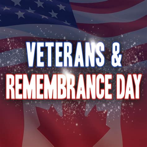 Veterans Day 2024 Remembrance Walk Jonis Ottilie