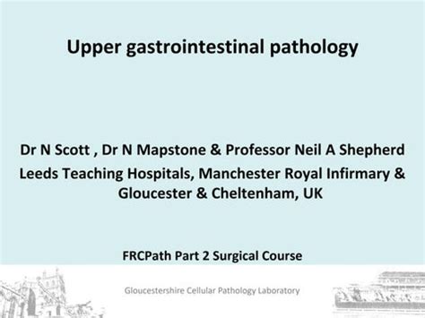 UPPER GI PATHOLOGY By IHC Issuu