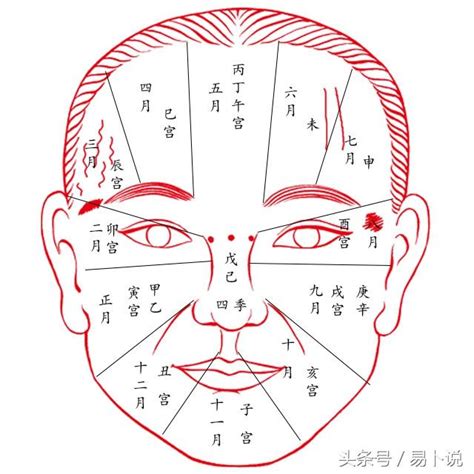 面相氣色篇論十二月令氣色天干地支氣色吉凶與人生運勢有何影響 每日頭條