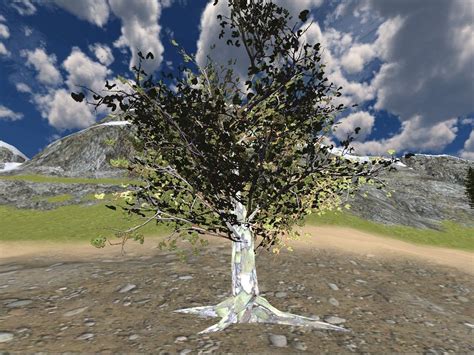 Mihai Dascalu Modelo 3d 5 Fbx Free3d