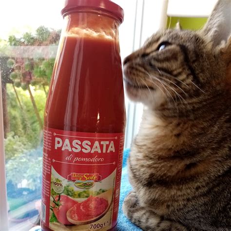 Passata Rustica Di Pomodoro From Delizie Dal Sole Vegan Product