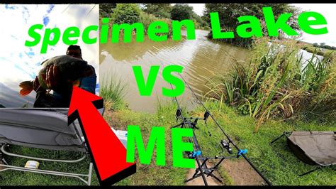 Catching 10lb Carp At War Pool Specimen Lake Youtube